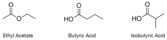 Distinguishing Between the Isomers of Ethyl Acetate, Butyric Acid and Isobutyric Acid Using ...