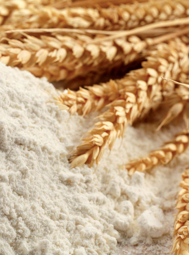 Nitrogen and Protein Analysis with the Dumas combustion method