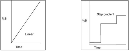 How to correctly do Step Gradients?