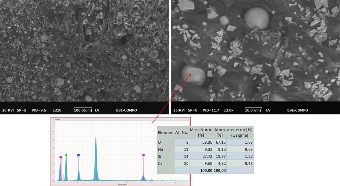 How can Polymers be Characterized Using SEM?