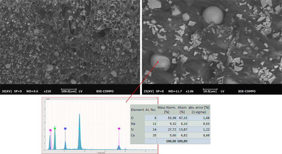 How can Polymers be Characterized Using SEM?