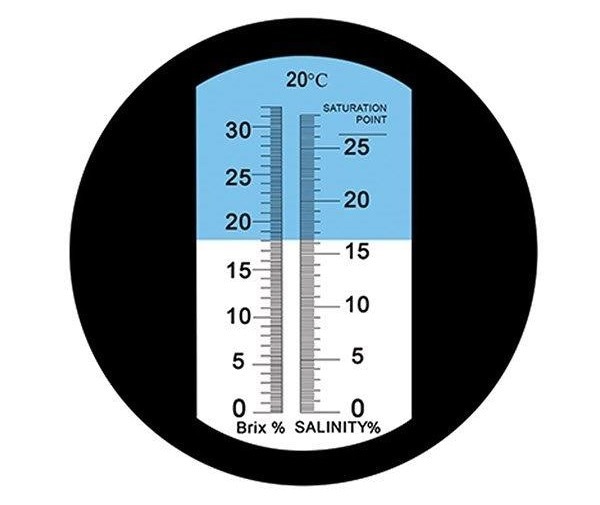 Exploring the Interplay of Brix and Refractive Index