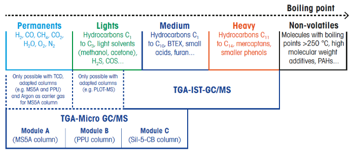 Exploring Thermogravimetry and Gas Analysis