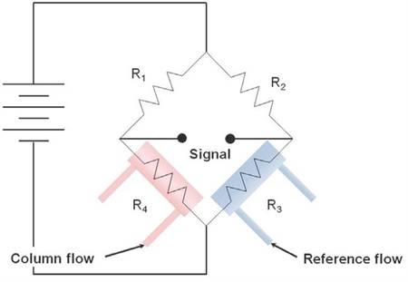 Exploring Thermogravimetry and Gas Analysis