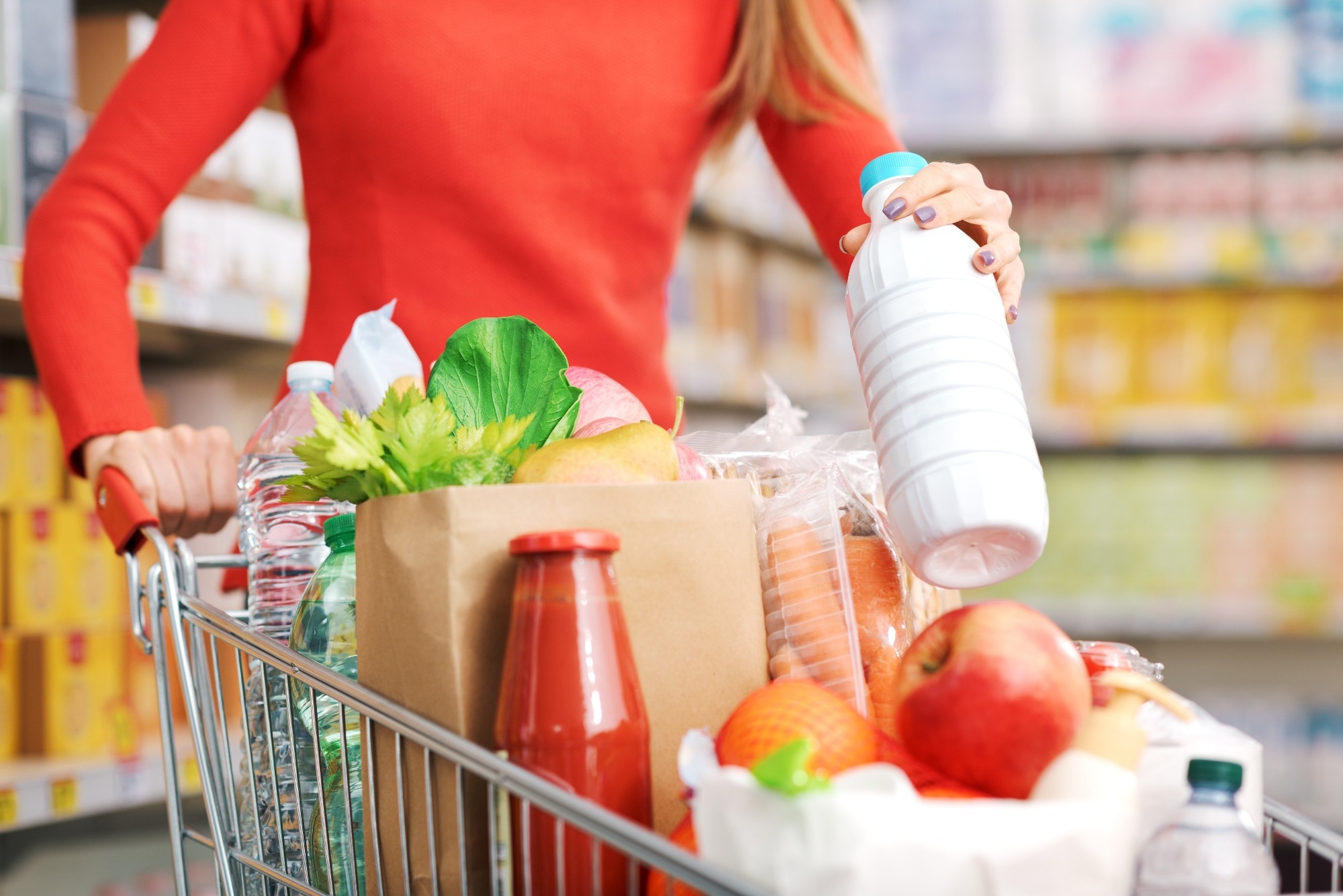 Exploring Alternative Protein Formulations