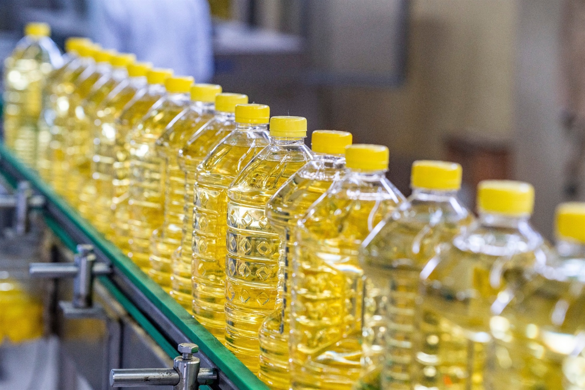 Getting Started With Edible Oil Testing