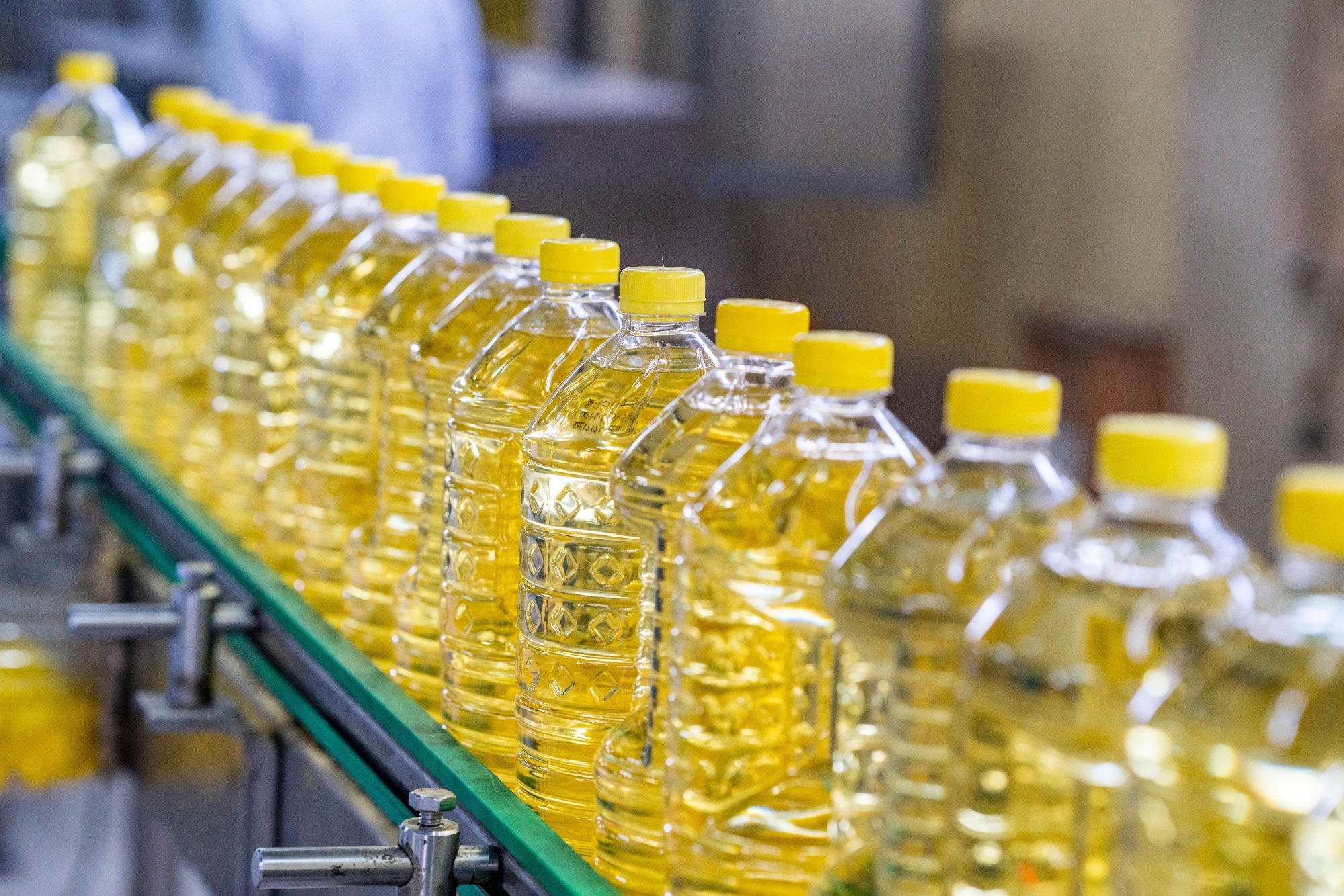 Getting Started With Edible Oil Testing