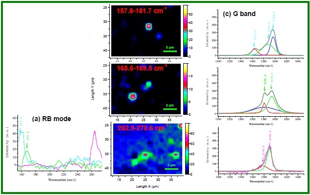 Raman Analysis of Carbon Nanotubes