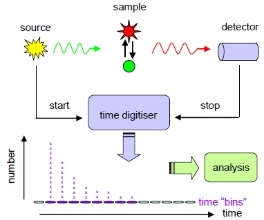 Fast and Efficient Fluorescence Decay Acquisition