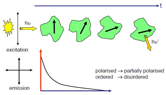 Measuring the Depolarization of Fluorescence Emission