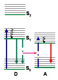 Introduction to Förster Resonance Energy Transfer (FRET)