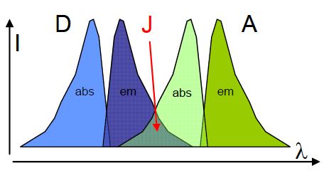 Introduction to Förster Resonance Energy Transfer (FRET)