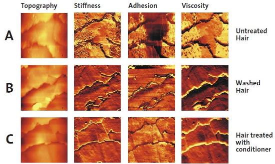 Analyzing the Surface Topography of Human Hair Using WITec’s AFM Instrument