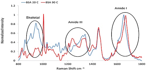 Using Raman Spectroscopy to Understand the Conformational Stability of ...