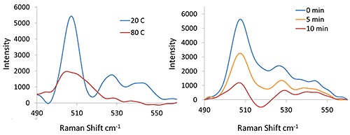 Using Raman Spectroscopy to Understand the Conformational Stability of ...