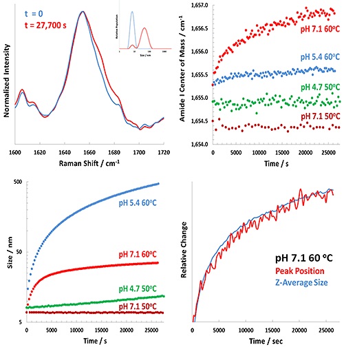The Determination of Protein Structure and Stability by Combining ...