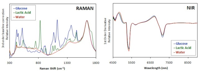 Using RamanRxn2™ for the Analysis of a Mammalian Cell Culture