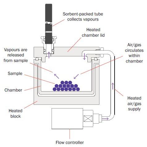 Dynamic Headspace Sampling and TD-GC-TOF MS for Rapid and Sensitive ...