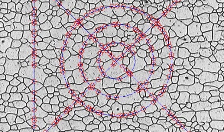 Analyzing Grains in Metallic and Alloy Samples