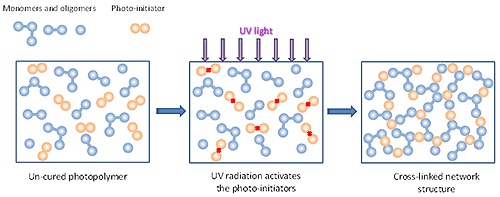 Using the Kinexus Rotational Rheometer for In-Situ Characterization of ...