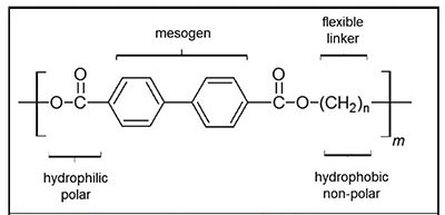 Liquid Crystal Polymers
