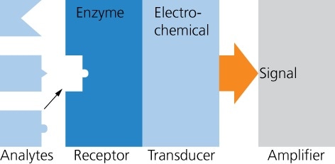 Biosensors – Enzymatic Biosensors in Biotechnology