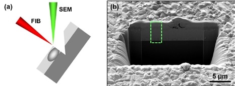 FIB-SEM Investigations of the Microstructure of CIGS Solar Cells