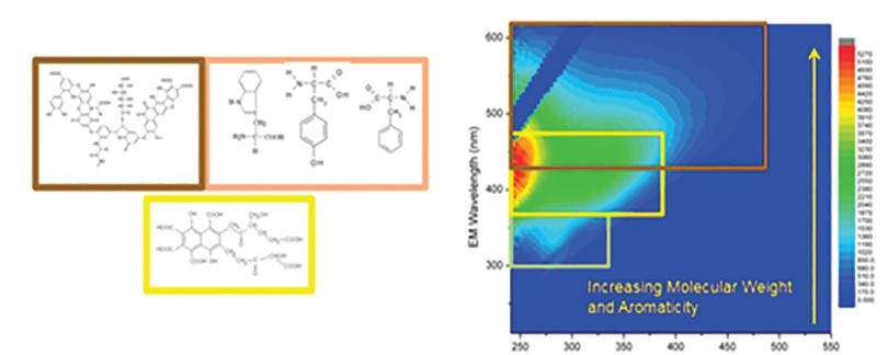 A Guide to A-TEEM Spectroscopy