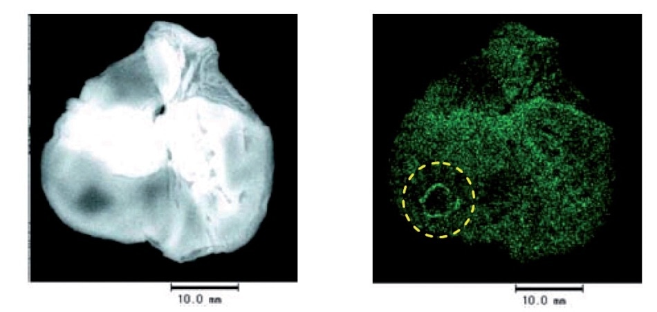 XRF Microscopy and its Applications in Biology
