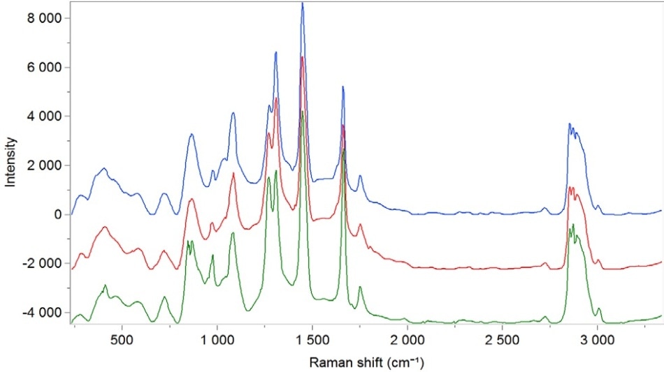 Characterize Fatty Acid Composition in Food Quality