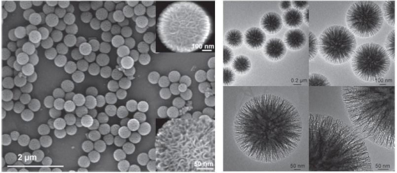 A Guide to Silica Nanoparticles with Large Surface Areas