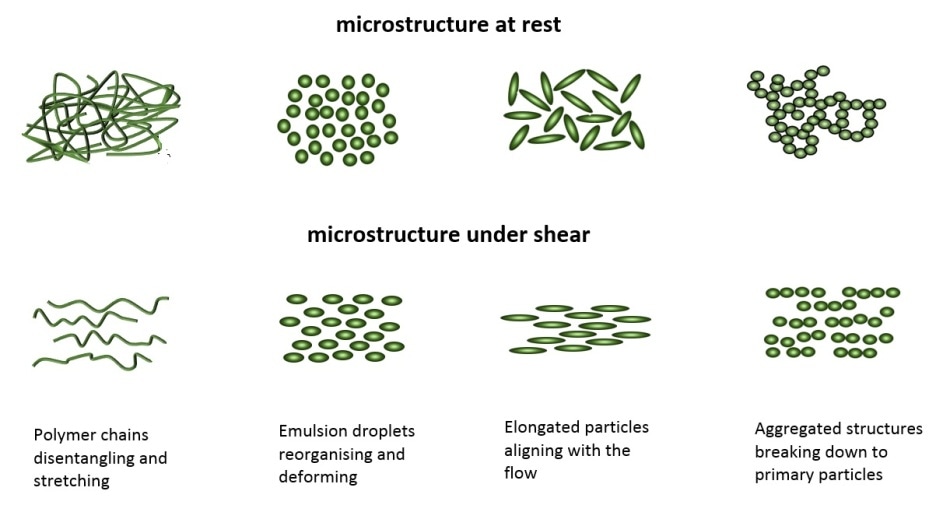 Rheology 101 – Learning the Basics