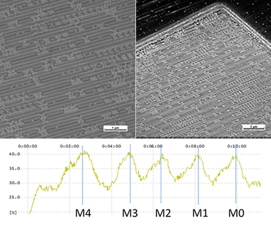 Gallium FIB Delayering