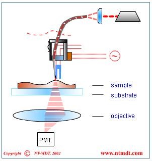 Scanning Near-Field Microscopy - The Principles of Operation of ...
