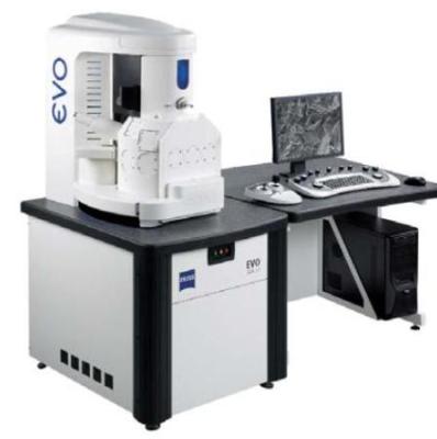 Applications of Scanning Electron Microscopes in Forensic ...