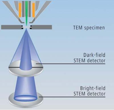 High Resolution Imaging of Biological Samples Using Scanning Electron ...