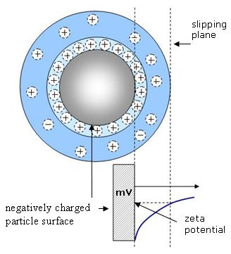 Determination of the Isoelectric Point Using Zeta Potential