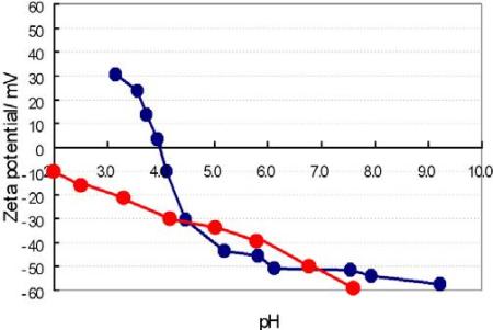 Determination of the Isoelectric Point Using Zeta Potential