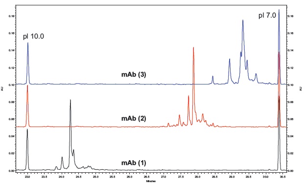 High Resolution cIEF of Therapeutic Monoclonal Antibodies