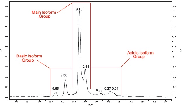 High Resolution cIEF of Therapeutic Monoclonal Antibodies