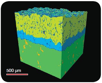 Thermal Barrier Coating (TBC) Microstructural Characterization