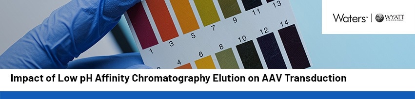 Evaluating Low pH Elution Effects on AAV Transduction Performance